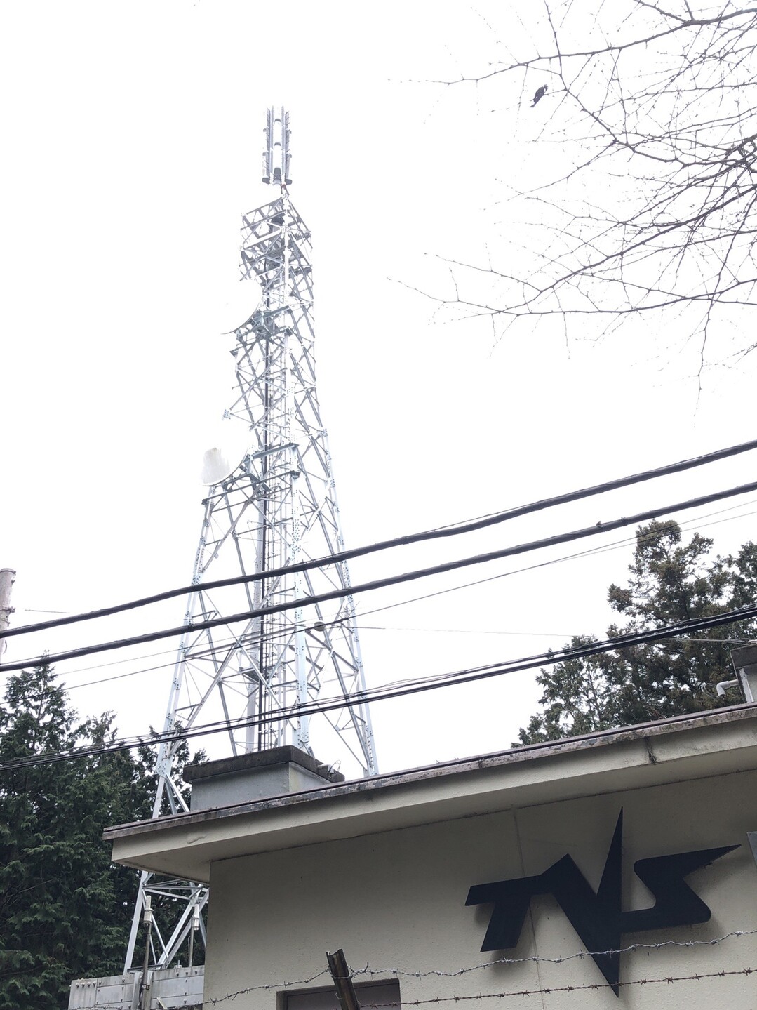 円良田城山・陣見山 / taki_ggさんの宝登山・長瀞アルプス・不動山・陣見山・鐘撞堂山の活動データ | YAMAP / ヤマップ