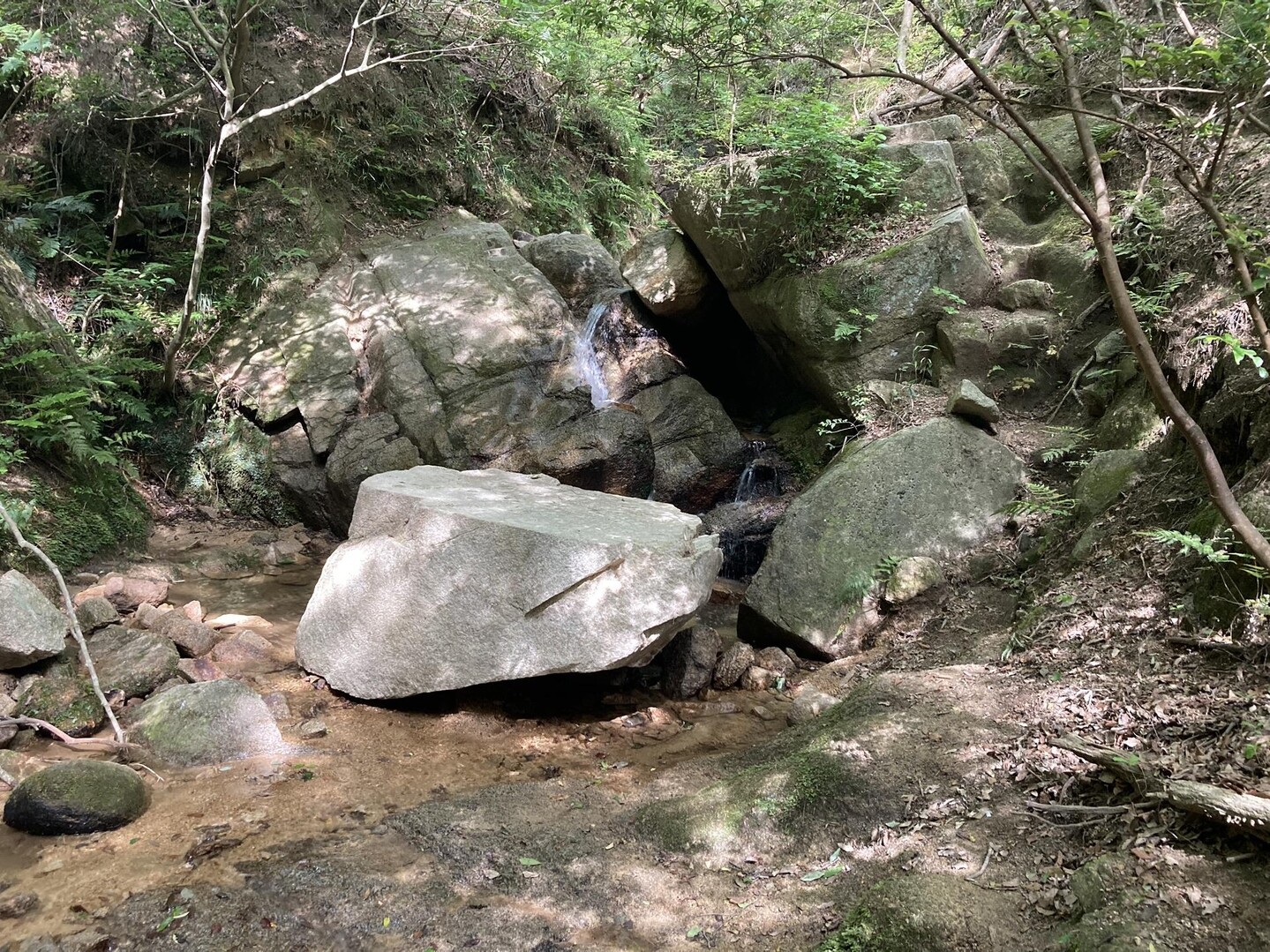 いつもの地獄谷 / Hiyoさんの六甲山・長峰山・摩耶山の活動データ | YAMAP / ヤマップ