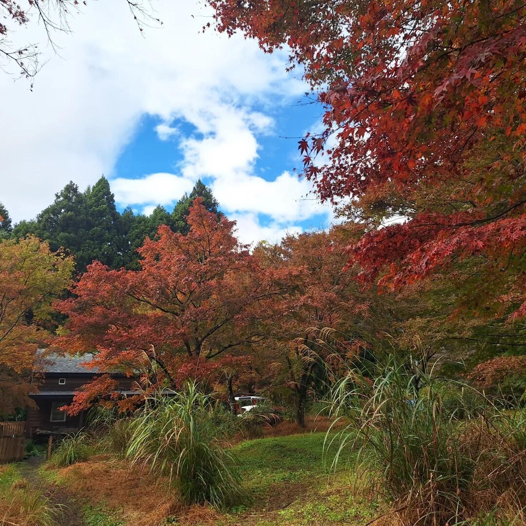 雨が上がってキャンプ / syo-zoさんのモーメント | YAMAP / ヤマップ