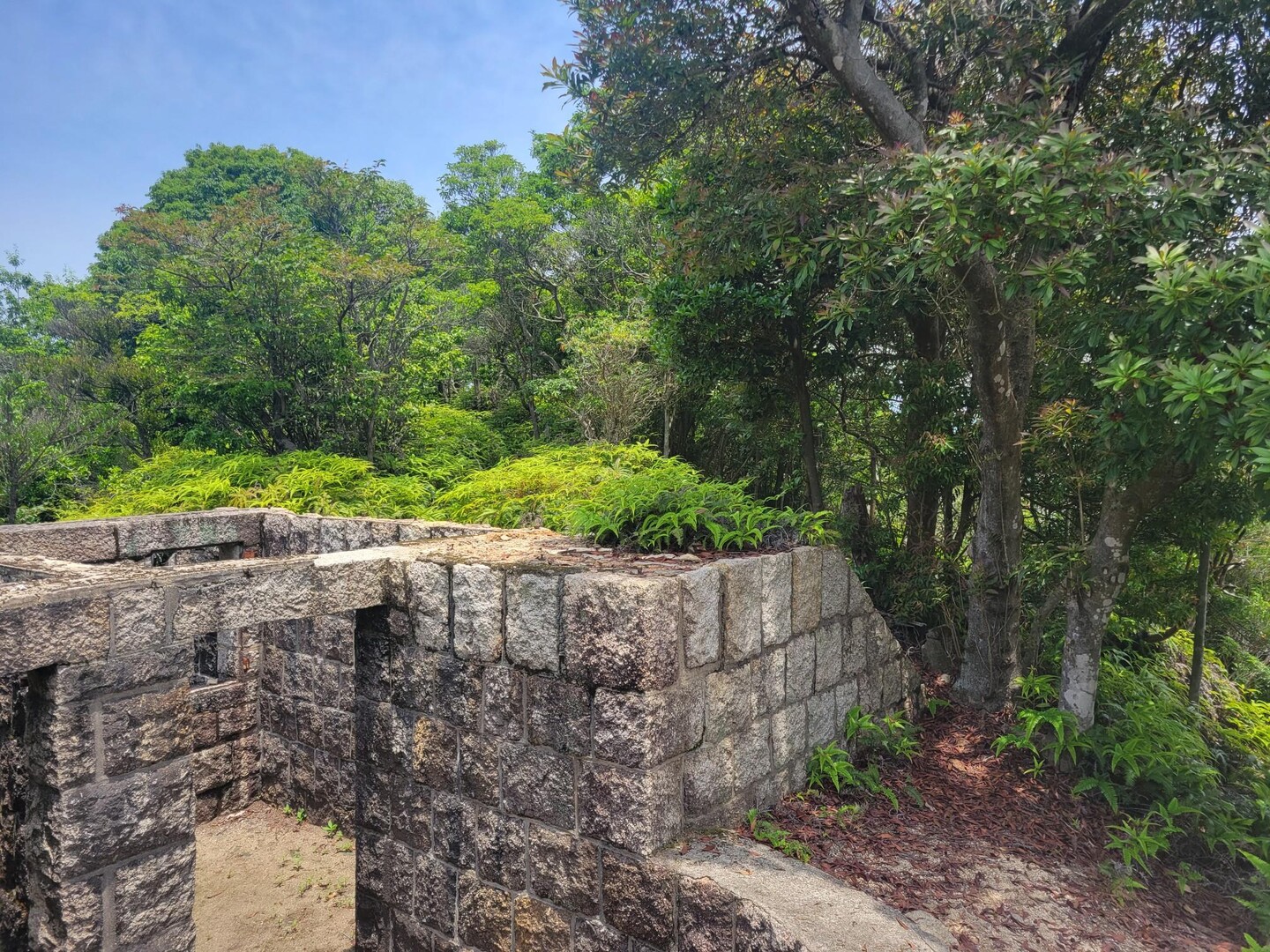 Tianchaさんの投稿したフィールドメモ | YAMAP / ヤマップ