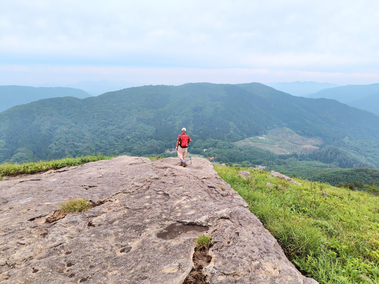 原点回帰でRefresh 深入山 安芸太田町-2024-6-17 / Ponさんの深入山の活動データ | YAMAP / ヤマップ