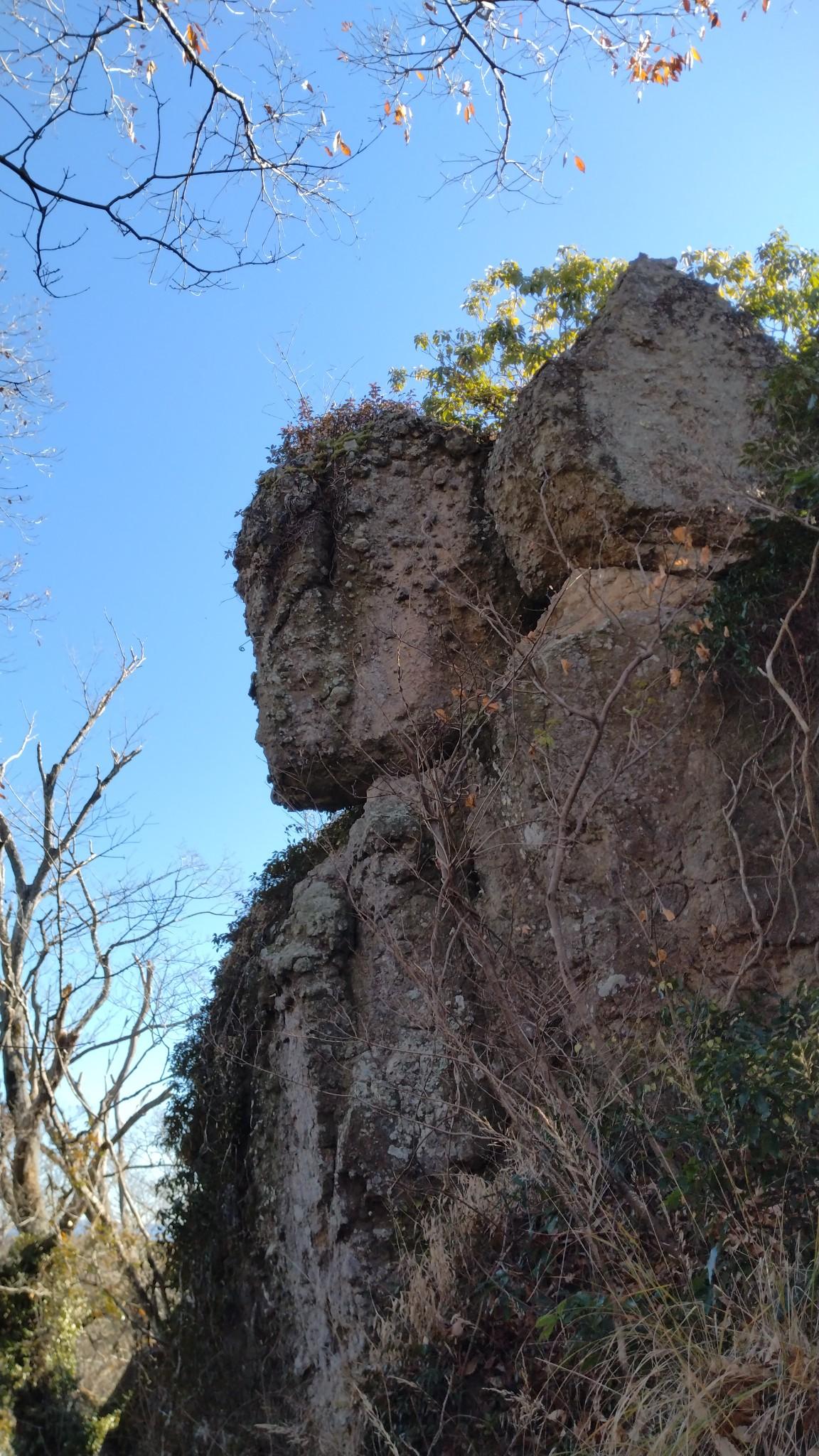 高岩山 / type52さんの常陸大宮市の活動データ | YAMAP / ヤマップ