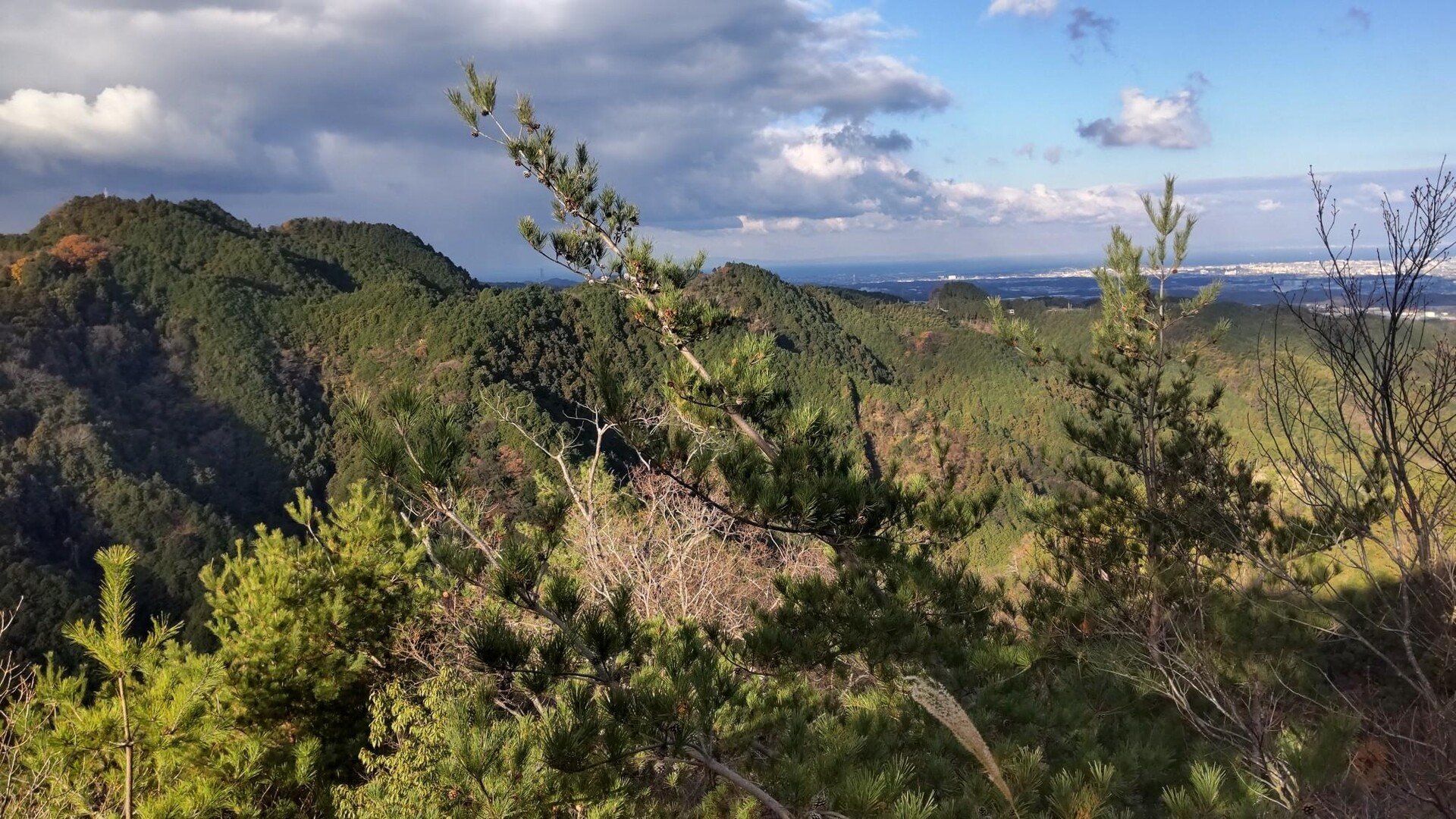 日受山（焼山） / ikkoさんの槇尾山（槙尾山）・和泉葛城山・神於山の活動データ | YAMAP / ヤマップ