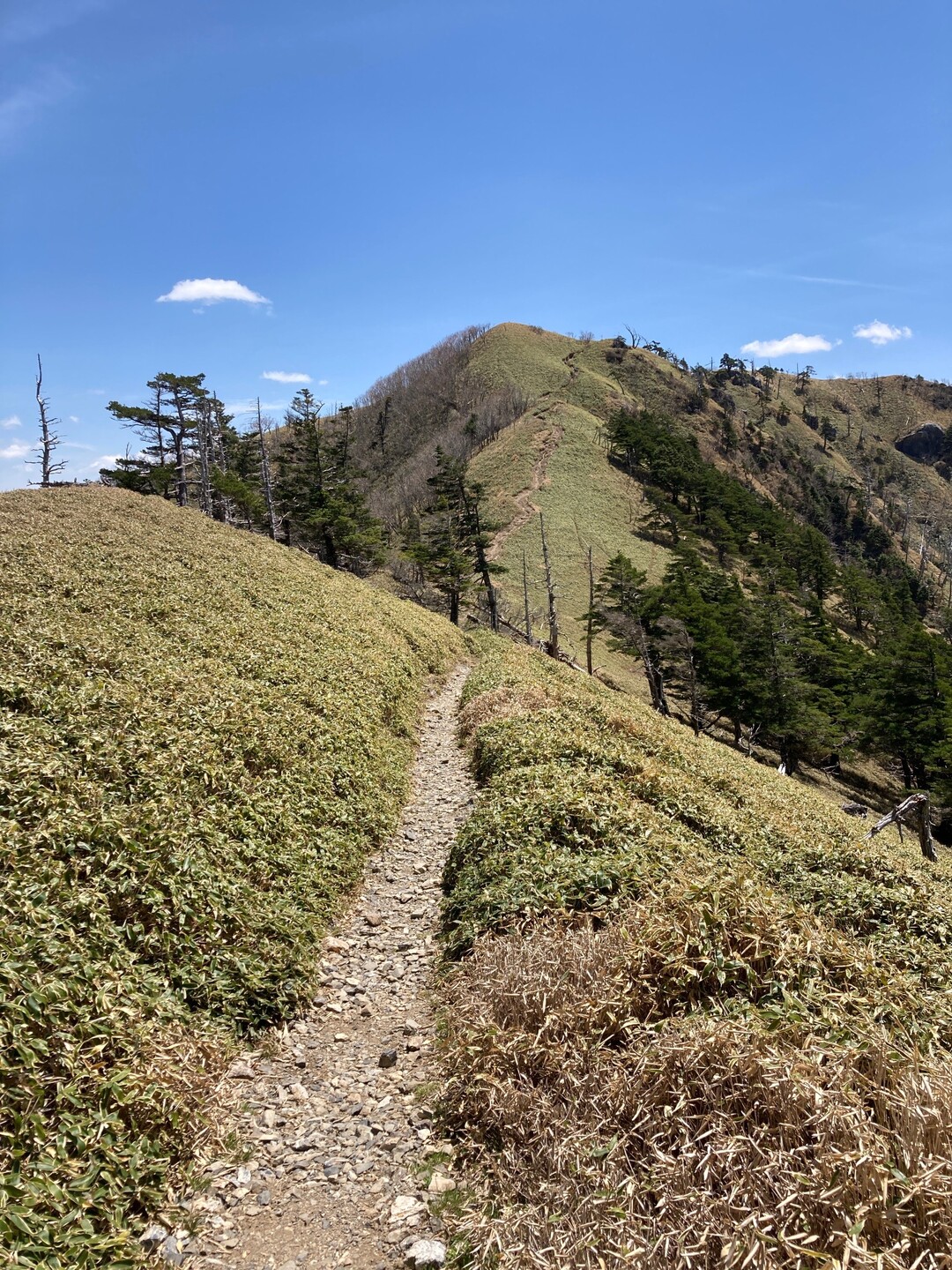 コリトリから剣山へ / ヒロさんの剣山の活動データ | YAMAP / ヤマップ