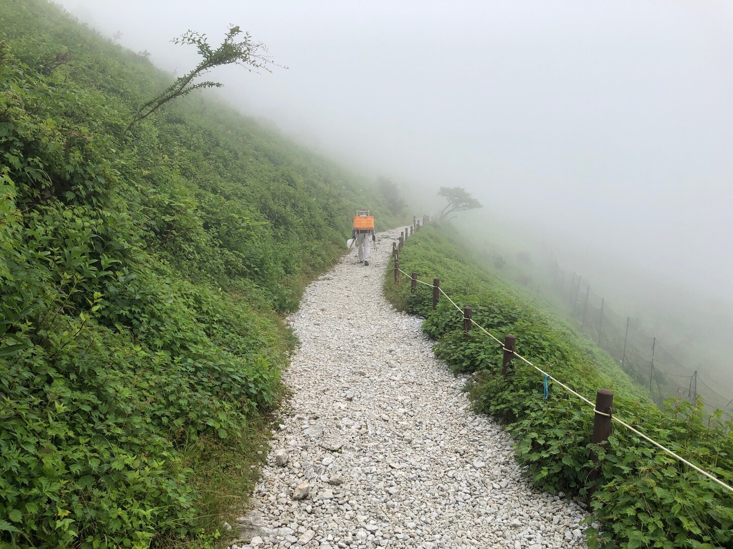 worryさんの投稿したフィールドメモ | YAMAP / ヤマップ