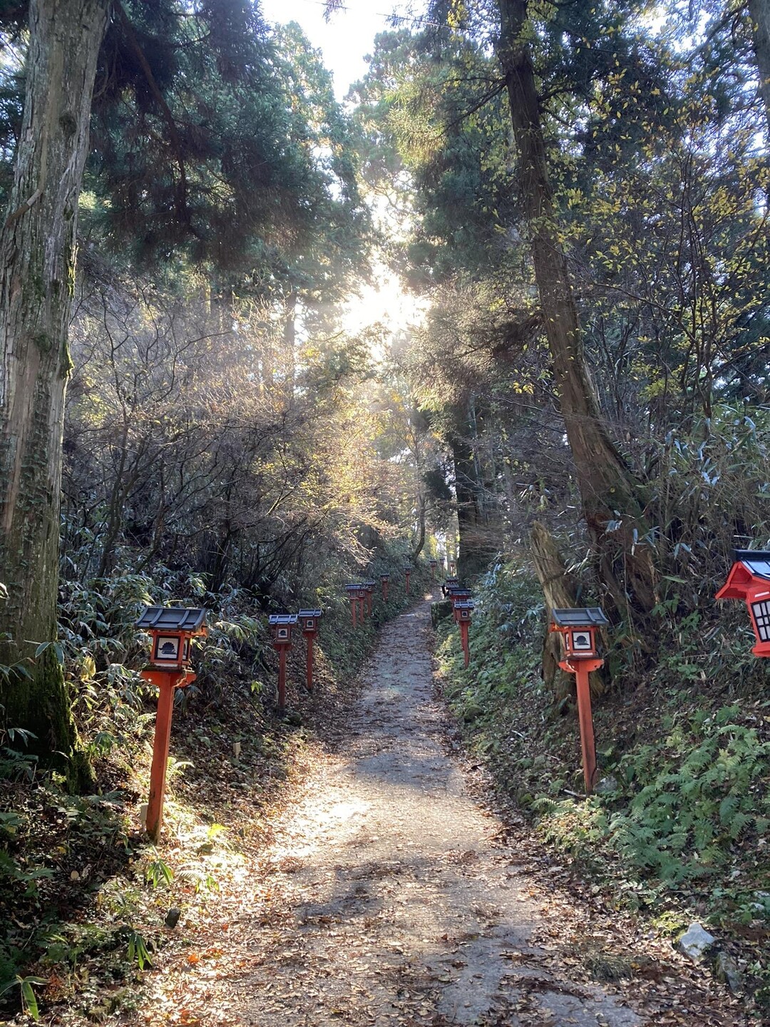 2度目の金剛山／^o^\ / akoさんの金剛山・二上山・大和葛城山の活動データ | YAMAP / ヤマップ