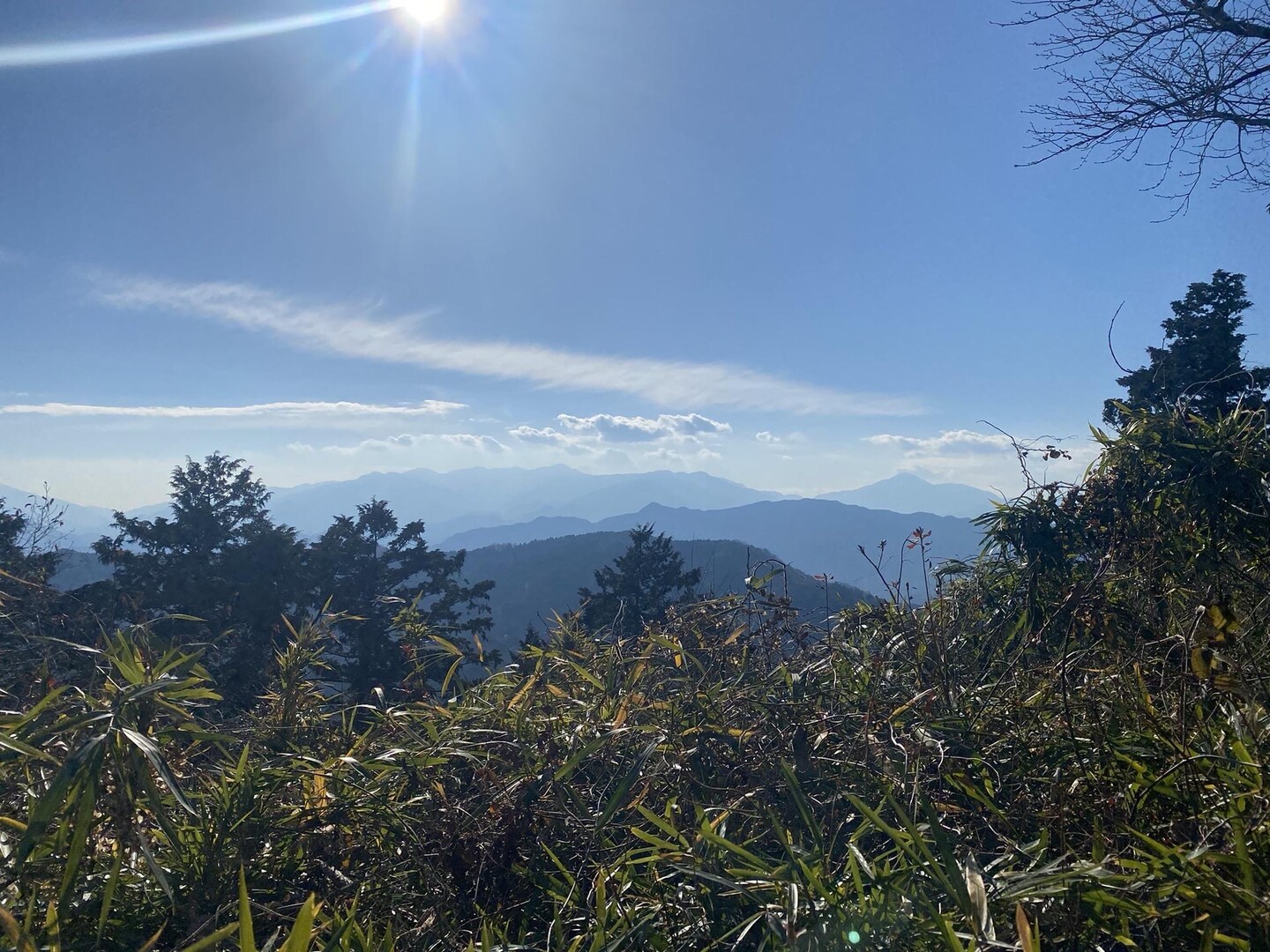 高尾山 / tosiさんの高尾山・陣馬山・景信山の活動データ | YAMAP / ヤマップ