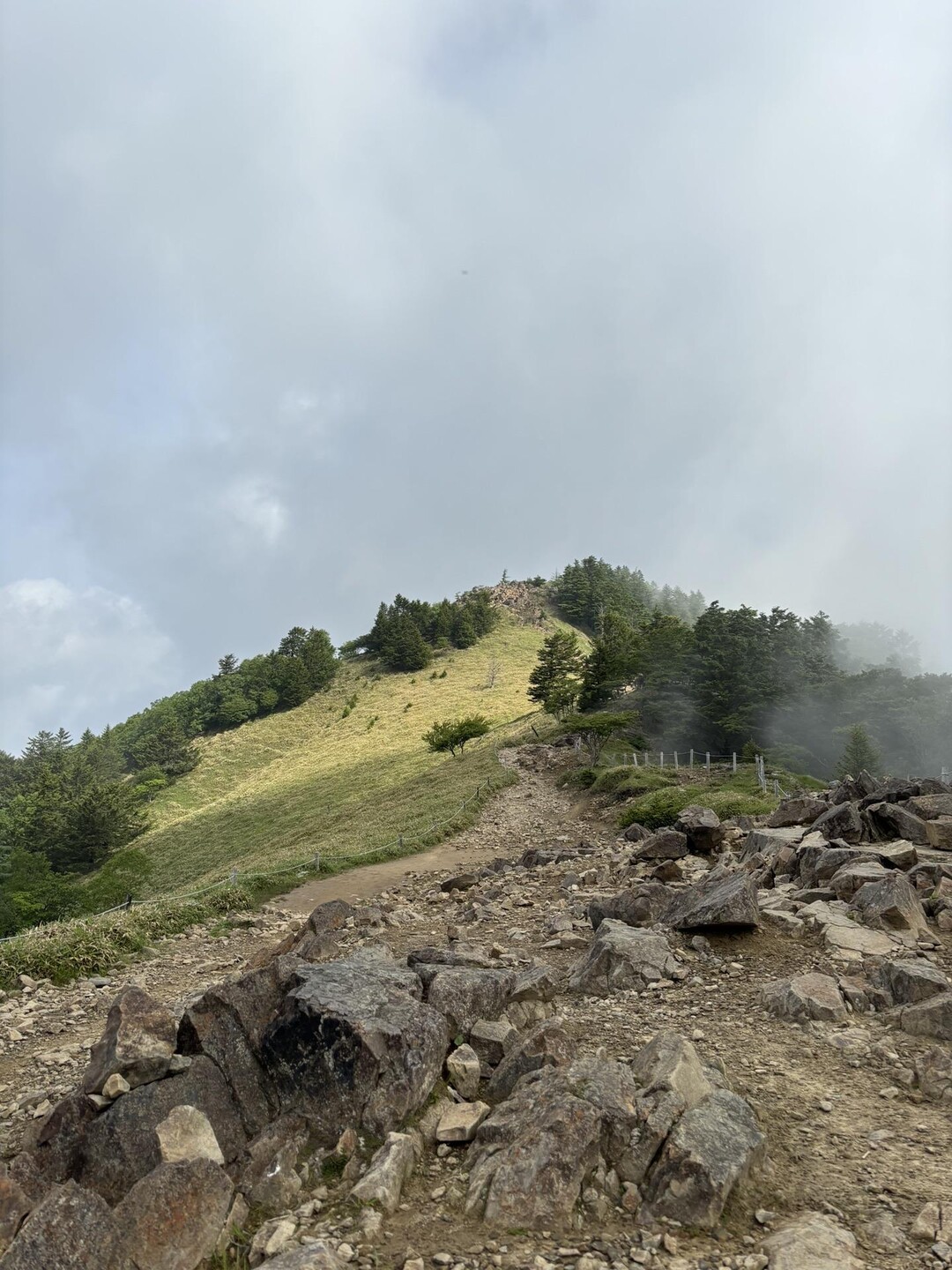 大菩薩嶺 ロッヂ長兵衛からの周回 / zyさんの大菩薩嶺・鶏冠山・大マテイ山の活動データ | YAMAP / ヤマップ