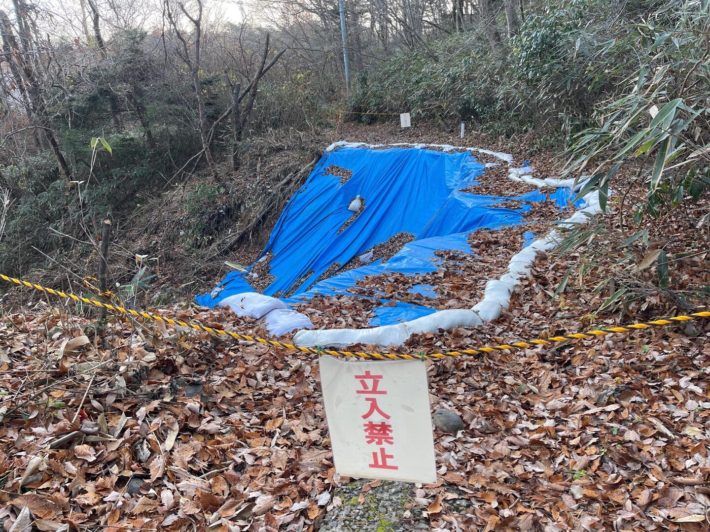 DDT-EXさんの投稿したフィールドメモ | YAMAP / ヤマップ