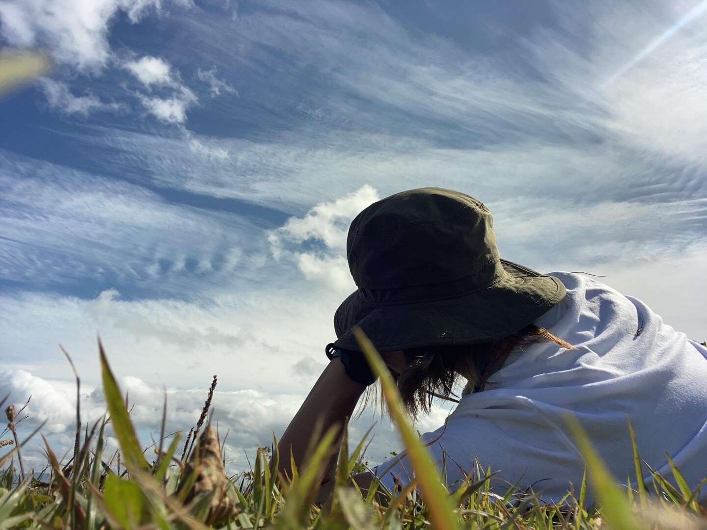 東根山 / arataさんの南昌山・東根山・箱ヶ森の活動データ | YAMAP / ヤマップ
