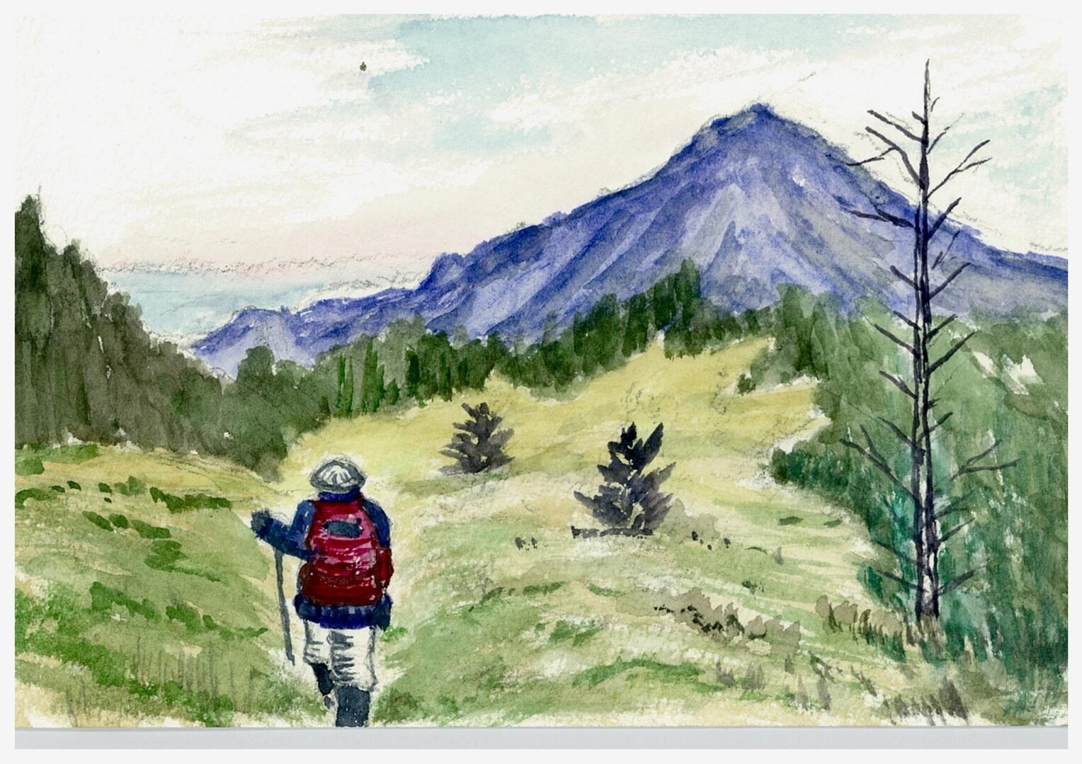 一年間の登山日記をAIが振り返ってくれた... / 亮さんさんのモーメント | YAMAP / ヤマップ