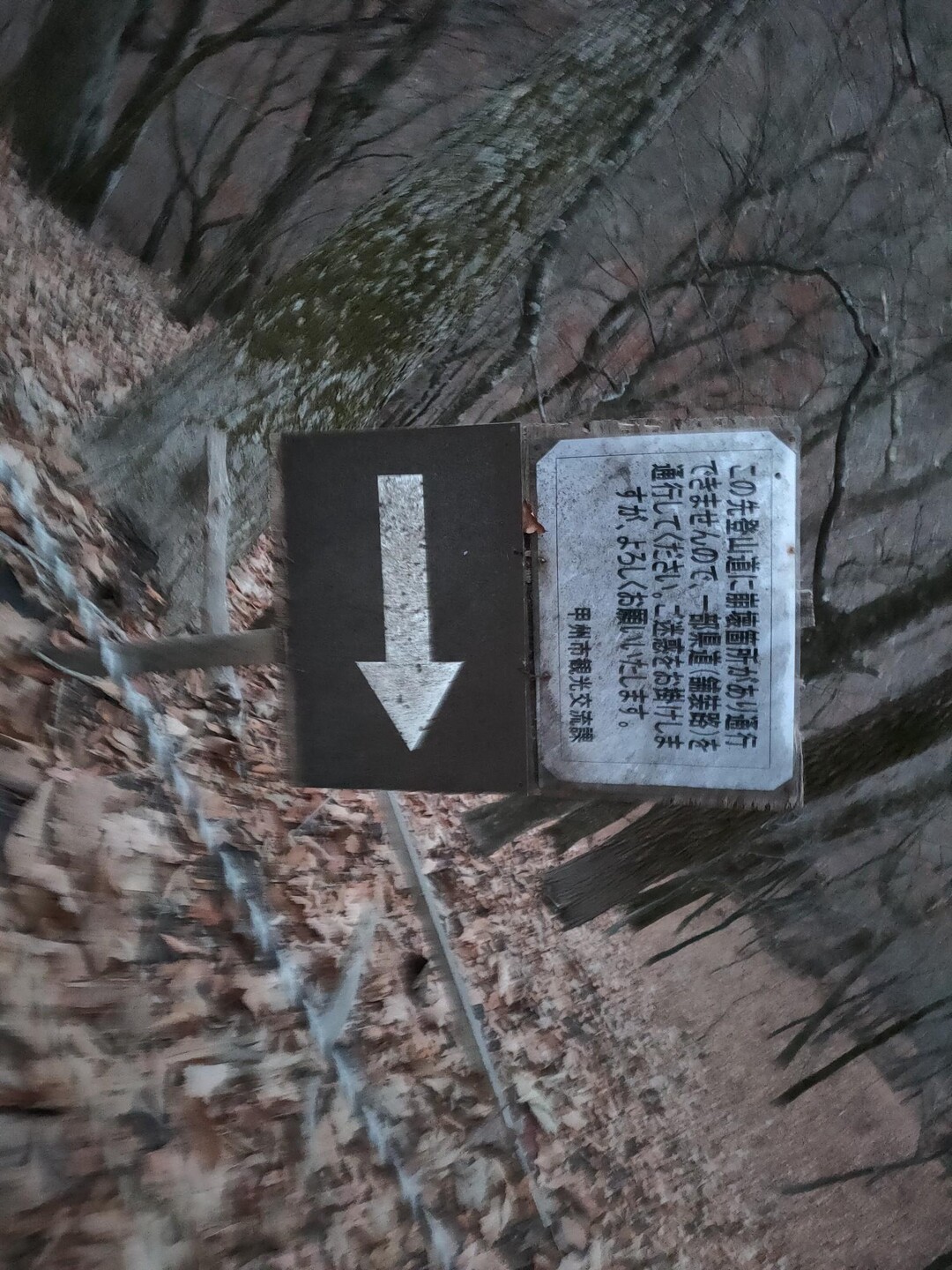 Mamincoさんの投稿したフィールドメモ | YAMAP / ヤマップ