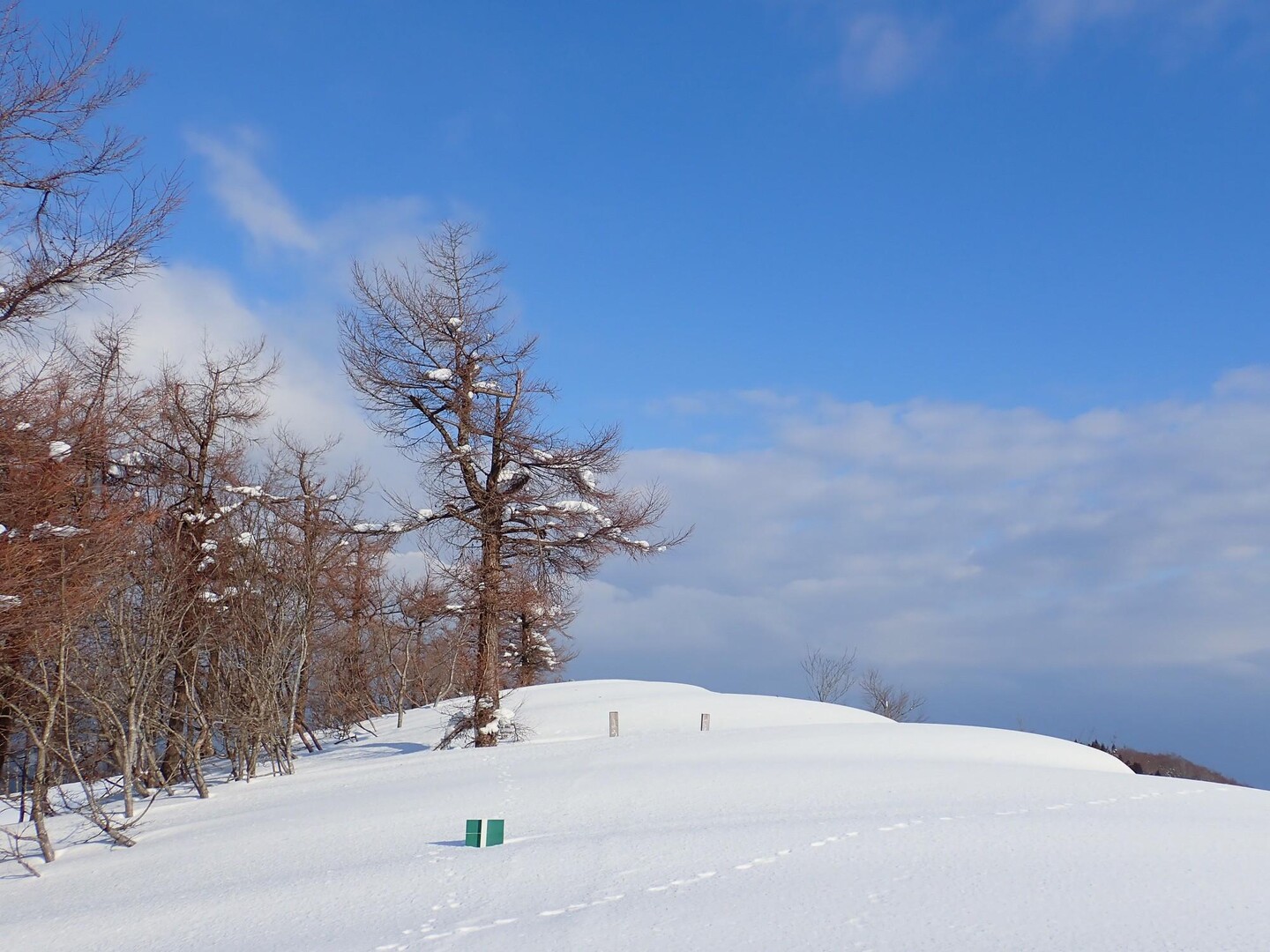 故郷の山へ（蘇武岳）-2025-01-02 / MC先輩さんの蘇武岳の活動データ | YAMAP / ヤマップ