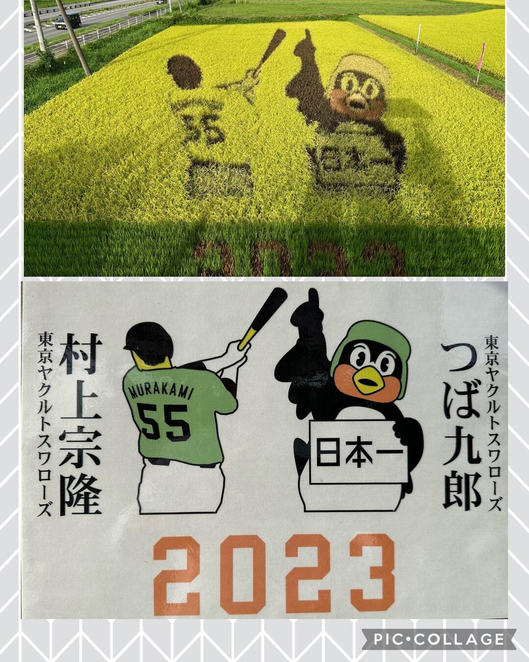 2023、8、28 那須塩原 田んぼアー... / datera🐻🐻🐻さんのモーメント | YAMAP / ヤマップ