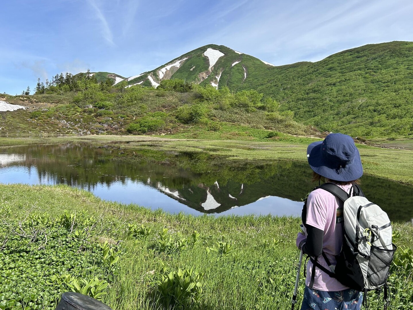 1day火打山&妙高山🌼お花探訪 / メイココさんの妙高山・火打山の活動データ | YAMAP / ヤマップ