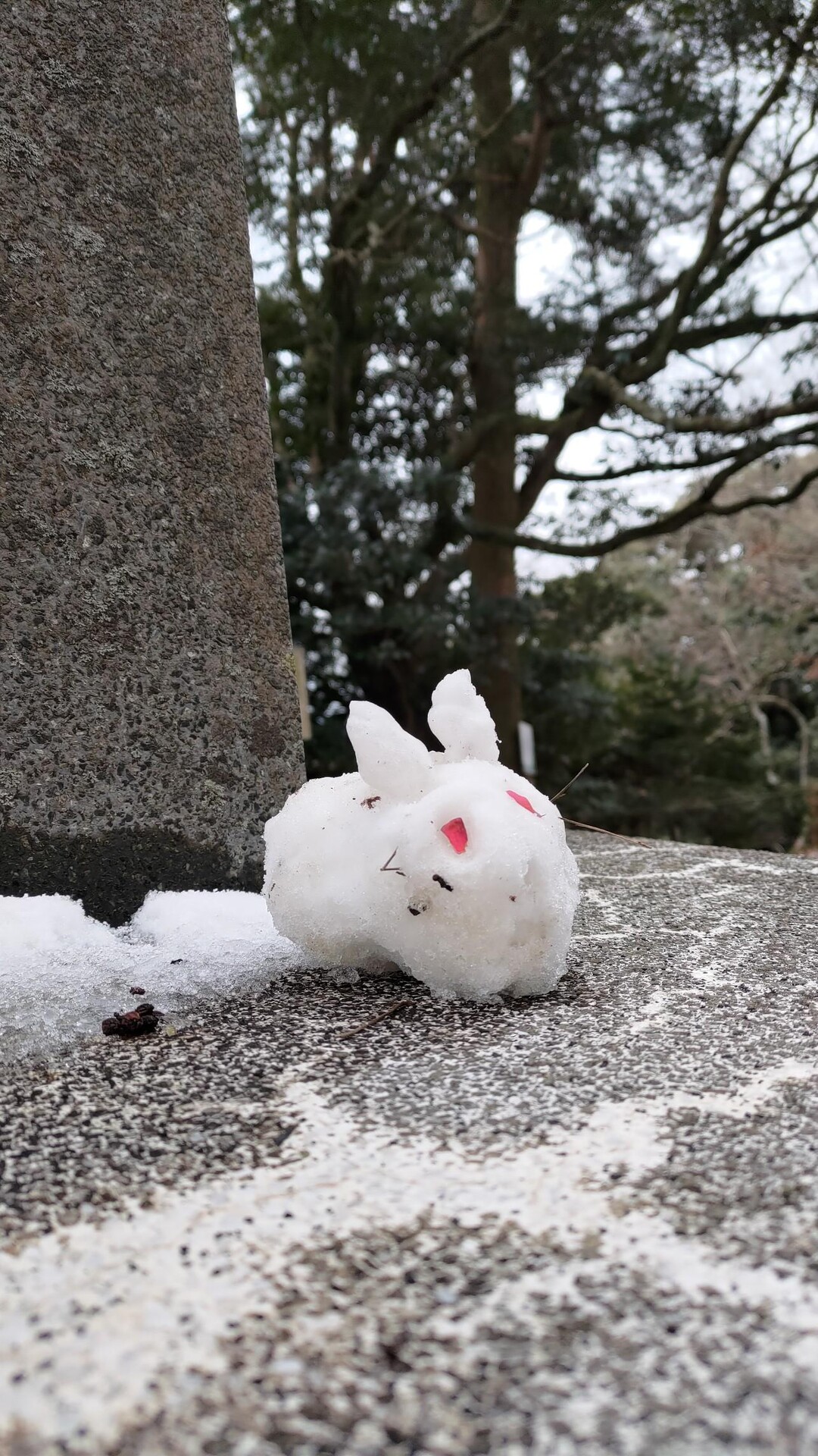 冷え込んでますね⛄️ 弥勒山・金山北岳・金山南岳・城山 / anto SSさんのウォーキングの活動データ | YAMAP / ヤマップ