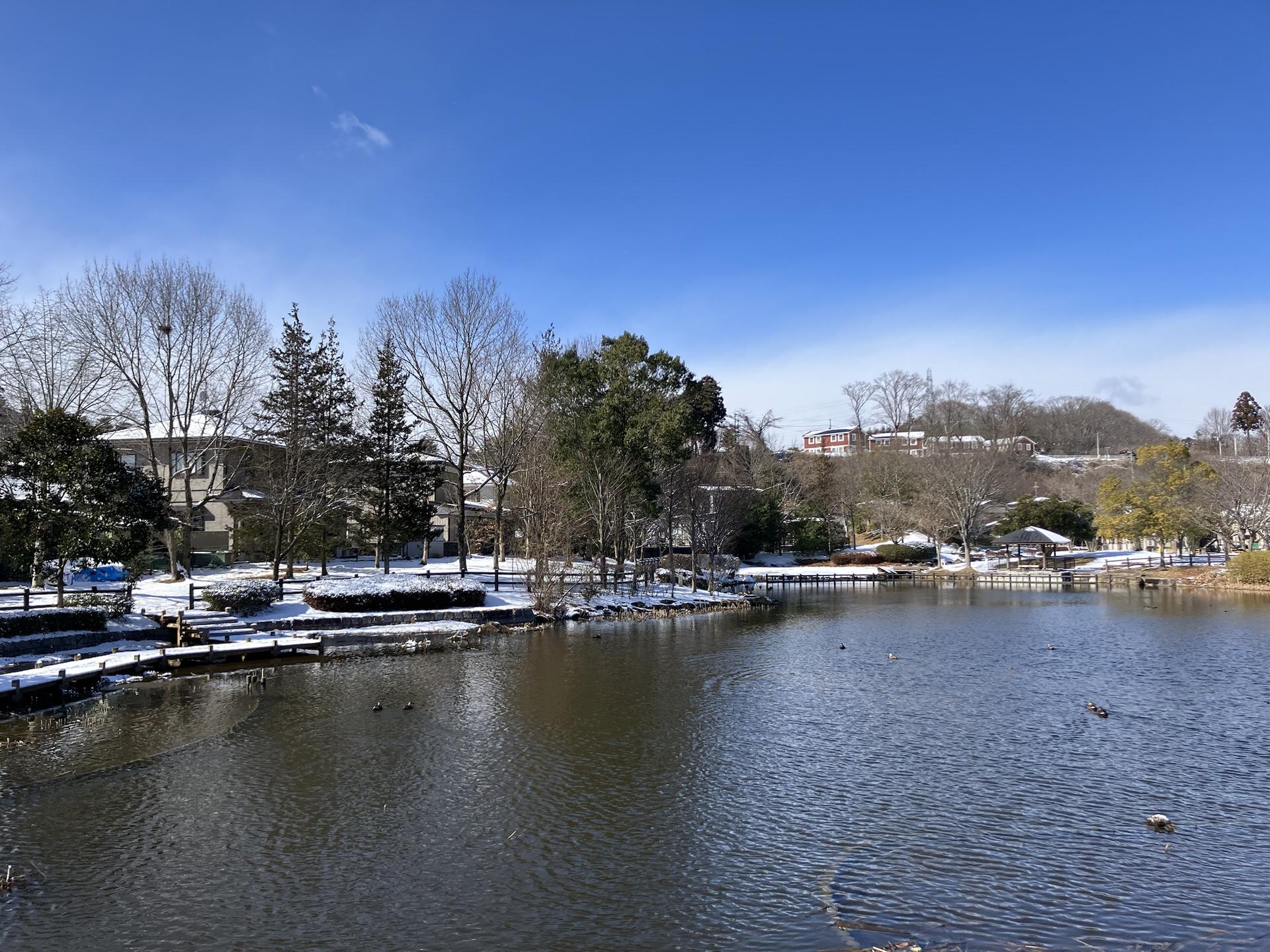 ミッション盛り沢山だったけど、どうしても... / まきさんのモーメント | YAMAP / ヤマップ