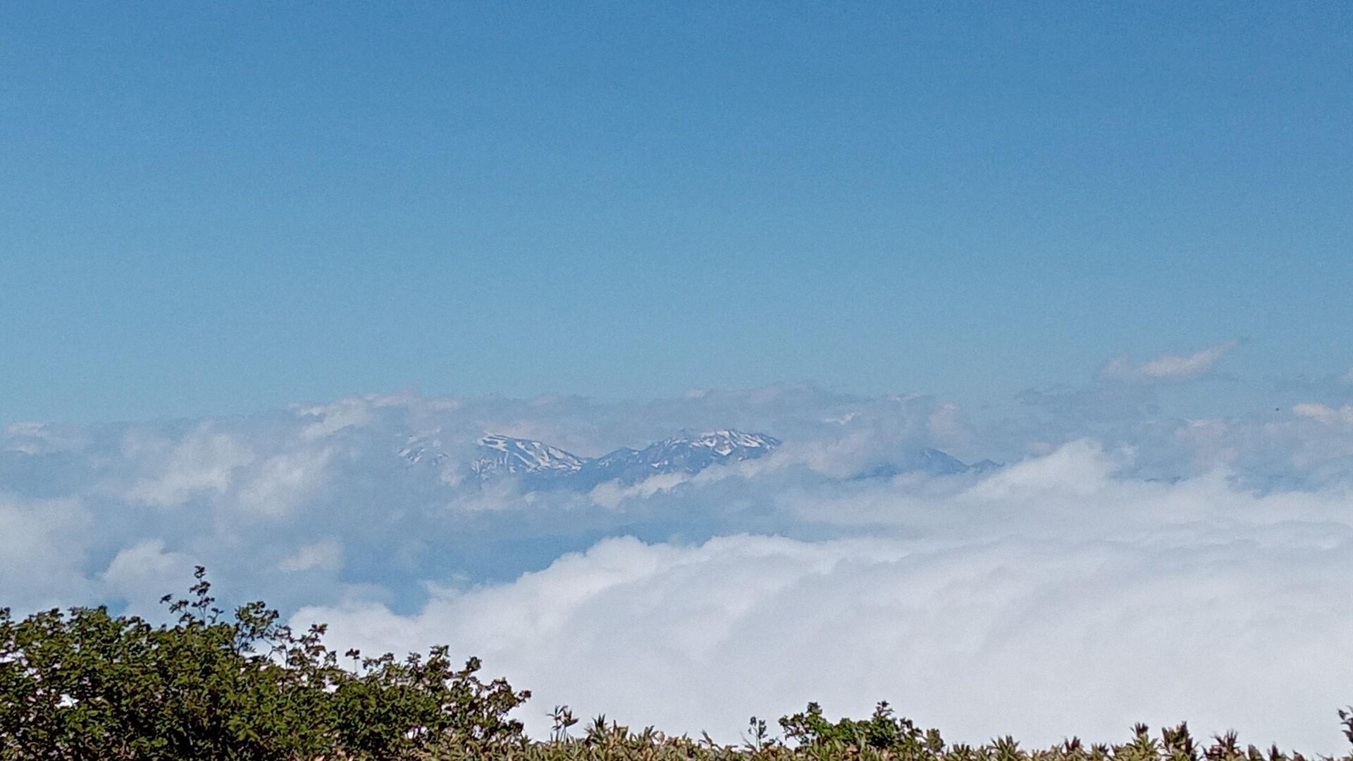 小荒島岳・前荒島岳・中荒島岳・荒島岳 / Yusukeさんの荒島岳の活動データ | YAMAP / ヤマップ
