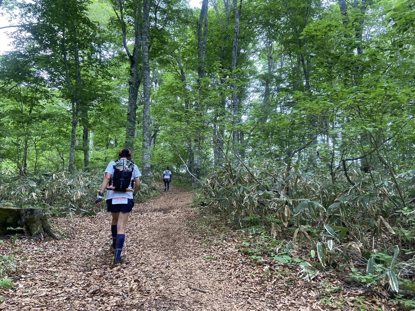 奥信濃100🏃‍♀️初50k完走 / yama__holicさんの高標山・八剣山の活動データ | YAMAP / ヤマップ