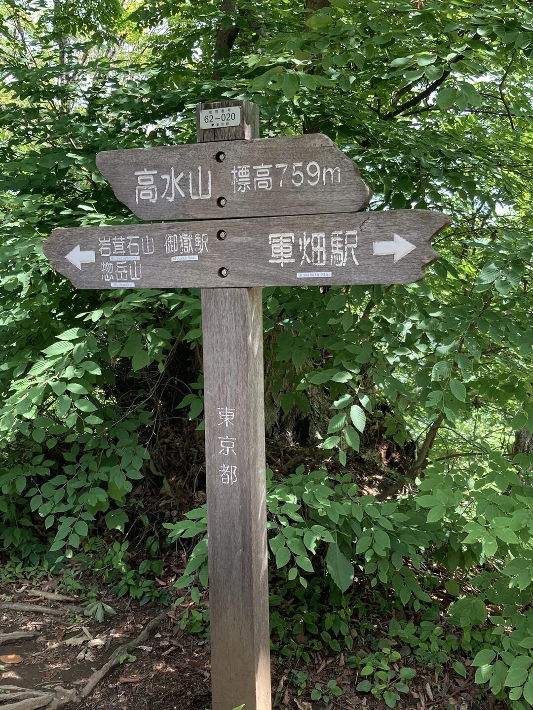 230528高水三山 三鷹渓谷 / bukさんの大岳山・御岳山・御前山の活動データ | YAMAP / ヤマップ