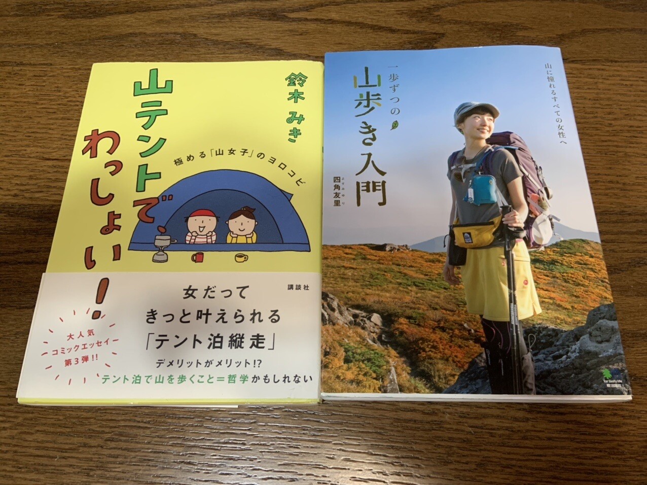 テント泊⛺️デビューしようかな？ / akkoさんのモーメント | YAMAP / ヤマップ