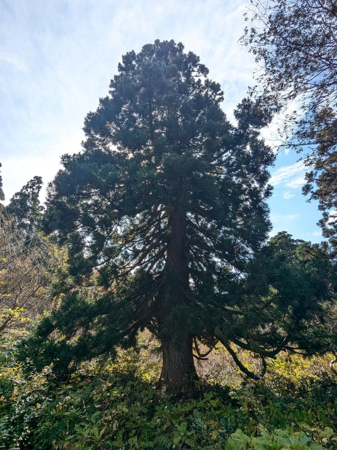 tkhsさんの投稿したフィールドメモ | YAMAP / ヤマップ