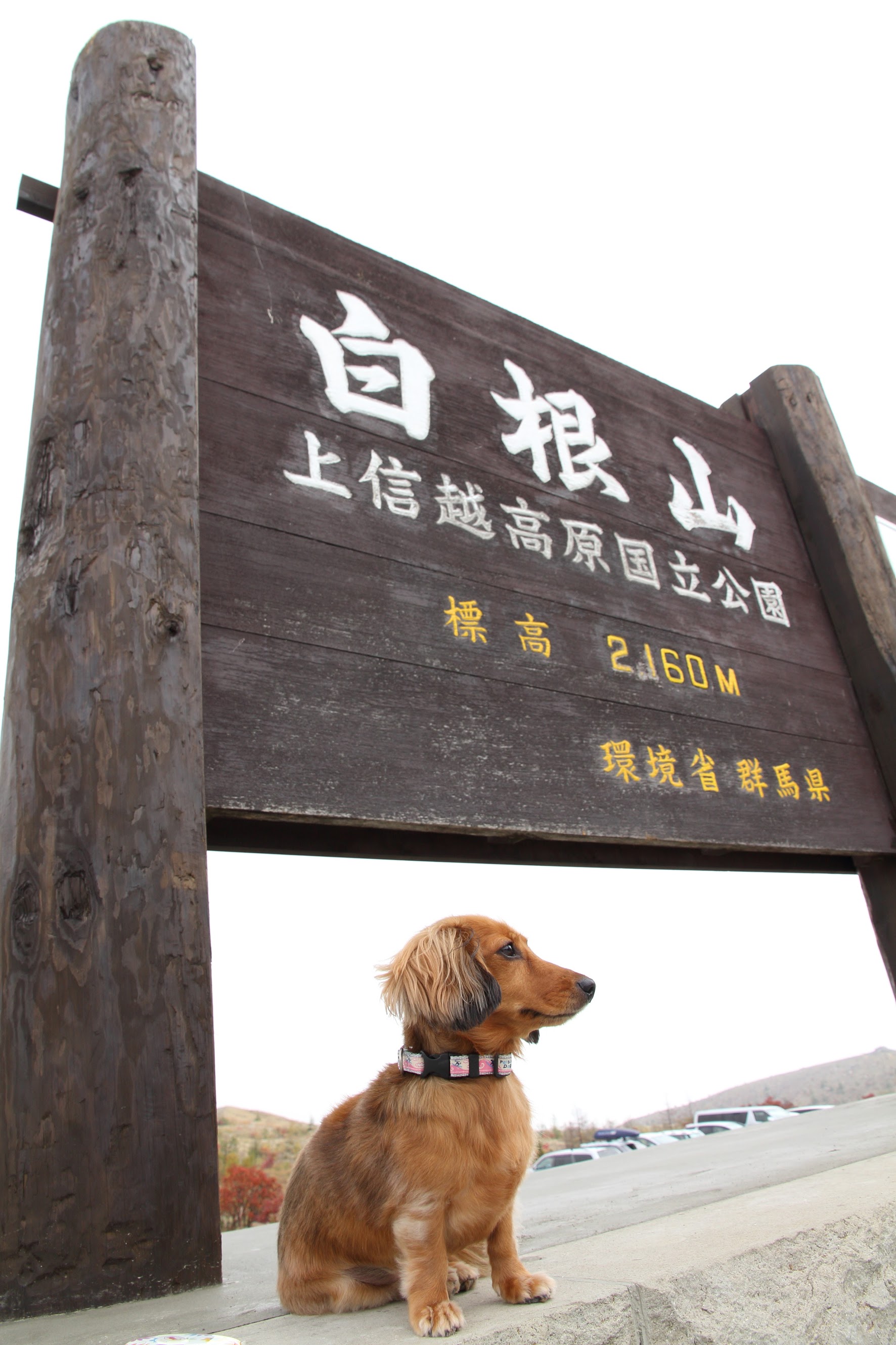 2012年の秋にワンコ連れで草津白根山へ... / さくらパパさんのモーメント | YAMAP / ヤマップ