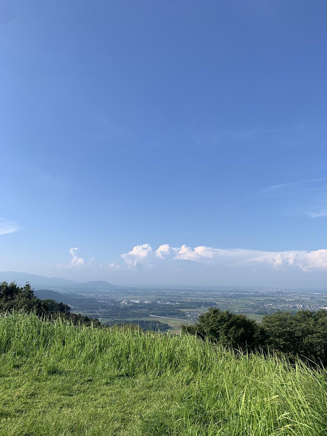 桝形山 / yattinさんの堀坂山・観音岳・桝形山（白米城）の活動データ | YAMAP / ヤマップ