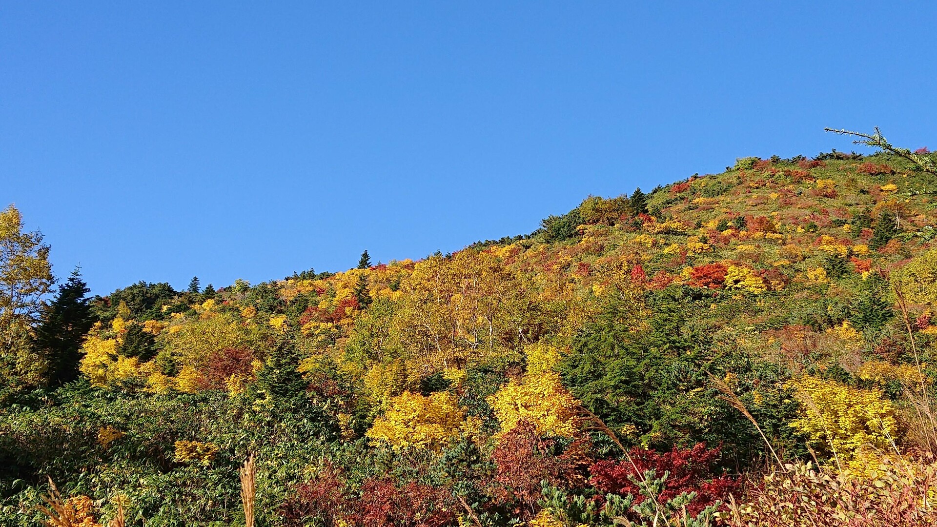 一切経山 / mune-Zさんの吾妻山・一切経山の活動データ | YAMAP / ヤマップ
