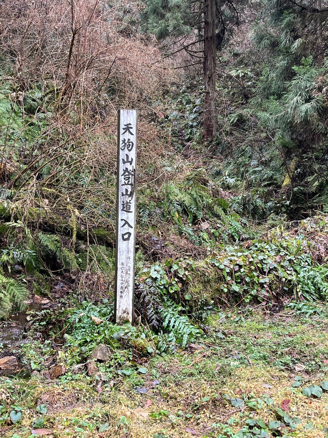 午前中トレーニング⭐︎天狗山 / Nao.さんの天馬山の活動データ | YAMAP / ヤマップ