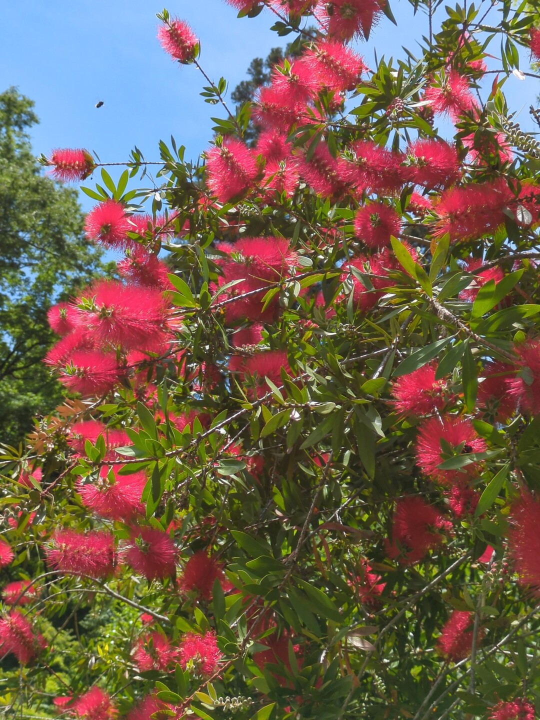 崇台山 / reoさんの崇台山の活動データ | YAMAP / ヤマップ