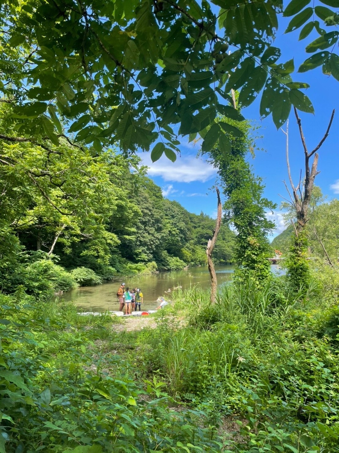 湖でSUP‼️ / yukiさんのモーメント | YAMAP / ヤマップ