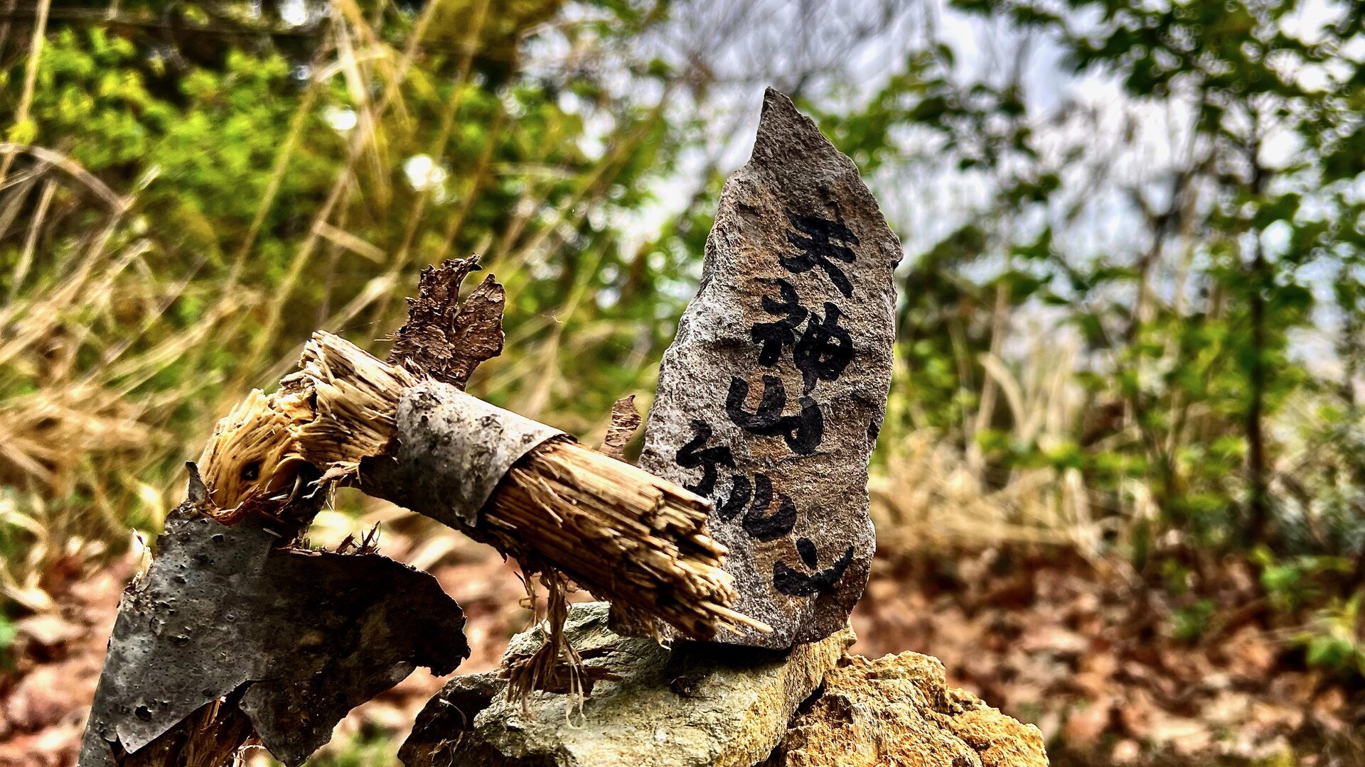 午前中が勝負のプリプリハイク in 天神山・松ヶ岳 / George-Mさんの弥彦山・多宝山・雨乞山の活動データ | YAMAP / ヤマップ