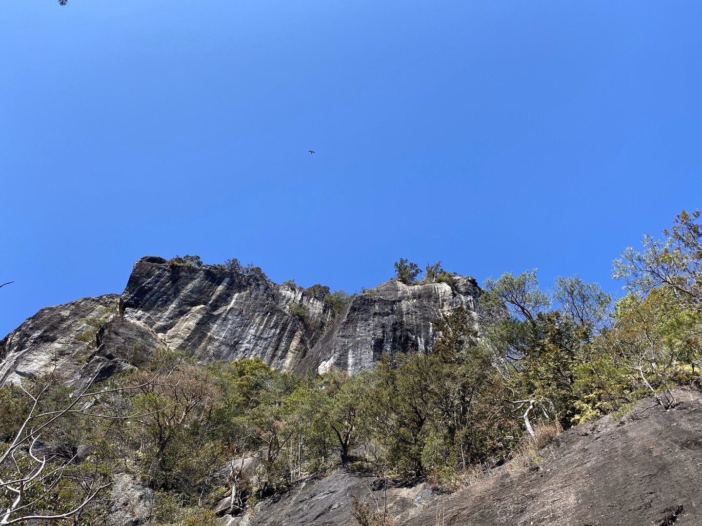 上臈岩巡りと百畳岩ー2020-03-12 / レオンさんの宇連山・鳳来寺山・岩古谷山の活動データ | YAMAP / ヤマップ