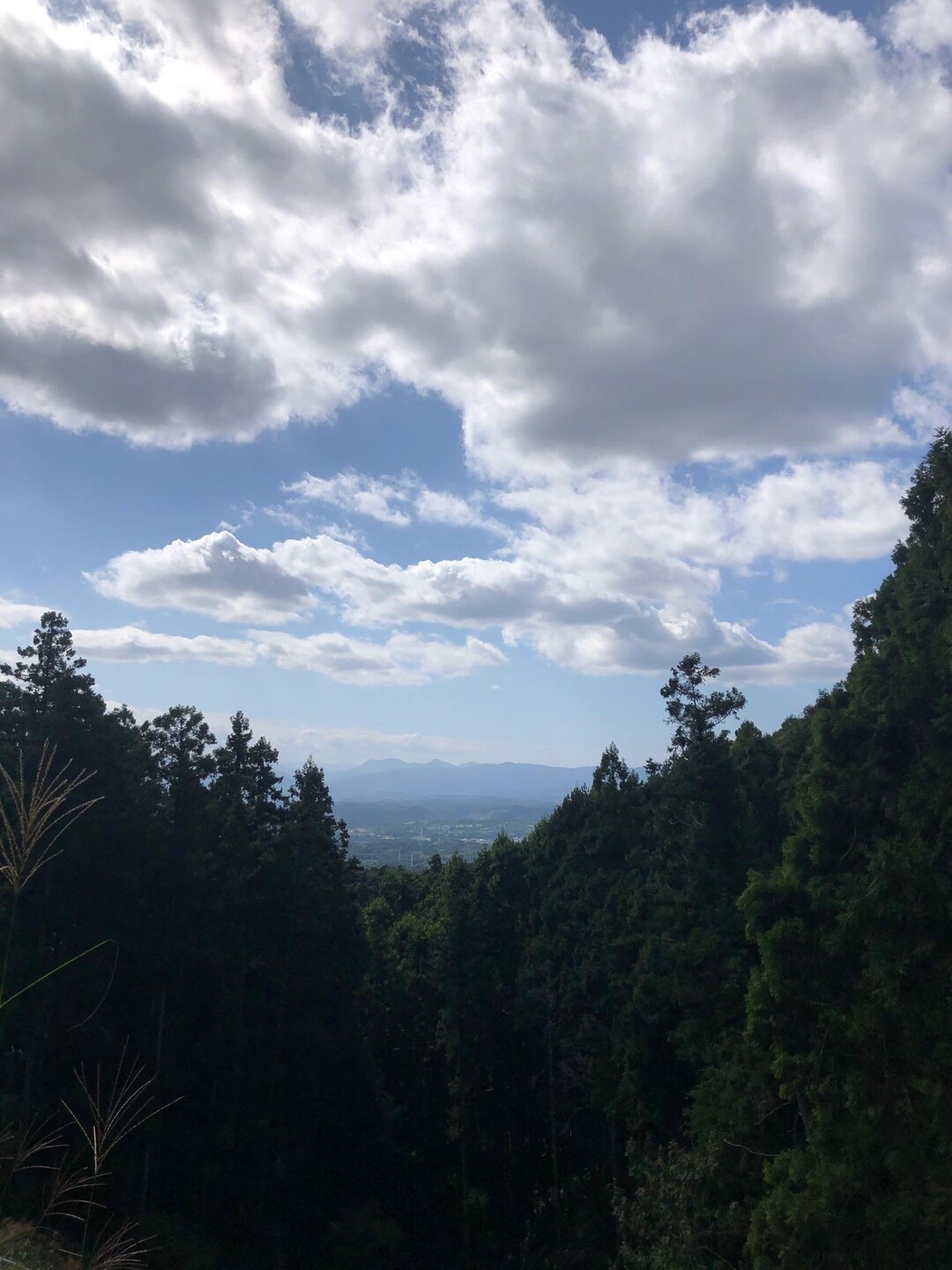 長谷山周回コース / Mt.zakiさんの経ヶ峰の活動データ | YAMAP / ヤマップ