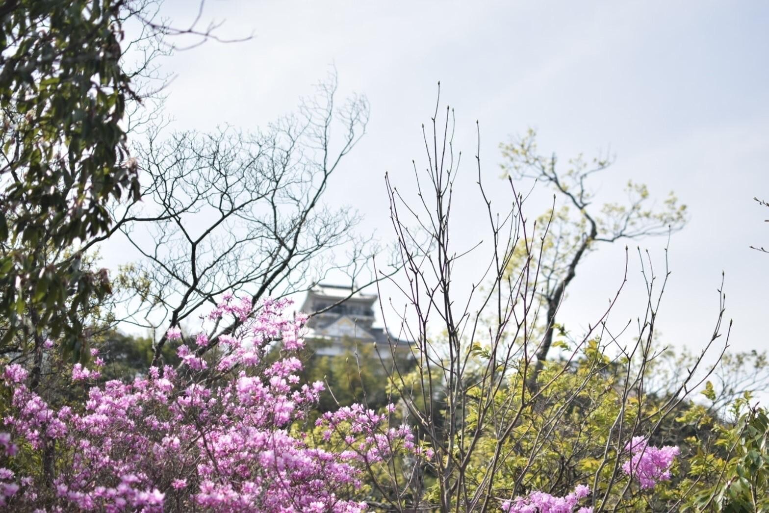 金華山 / keiichiさんの金華山・洞山・舟伏山の活動データ | YAMAP / ヤマップ