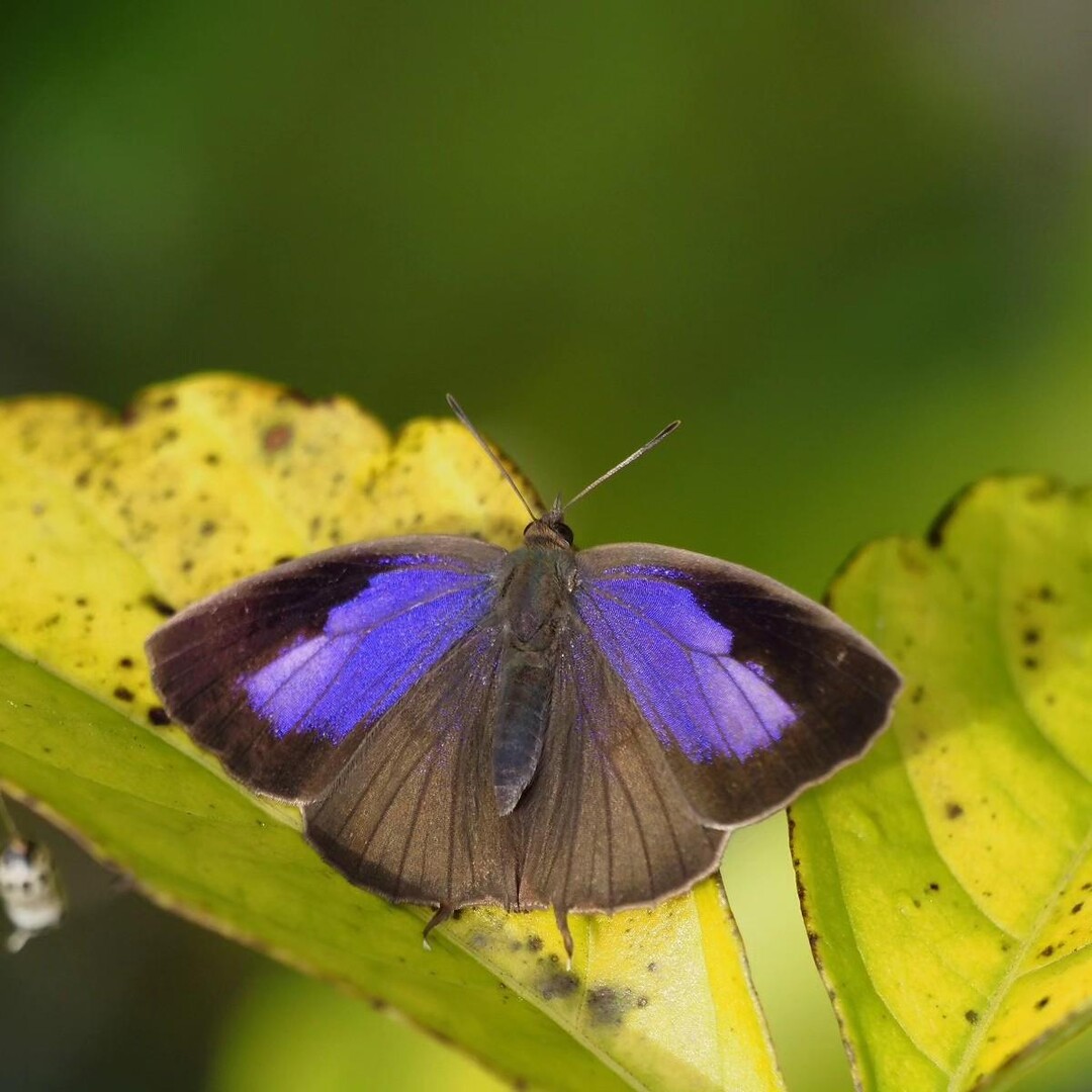 遠くの上海とは打って変わって、近くにいる... / JICKさんのモーメント | YAMAP / ヤマップ