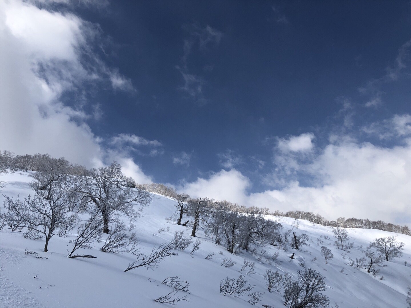 7e 1035 BC ガリッ！ / 函館市の写真4枚目 / 1.2本が一番天気良かった | YAMAP / ヤマップ