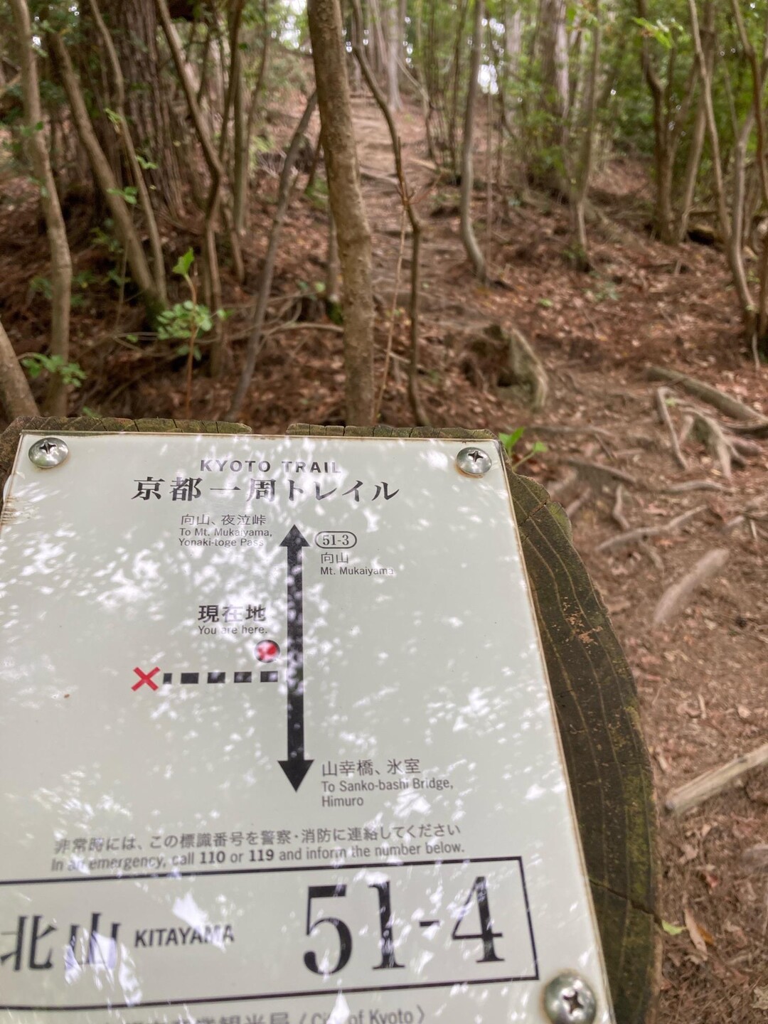 K.KAIさんの投稿したフィールドメモ | YAMAP / ヤマップ