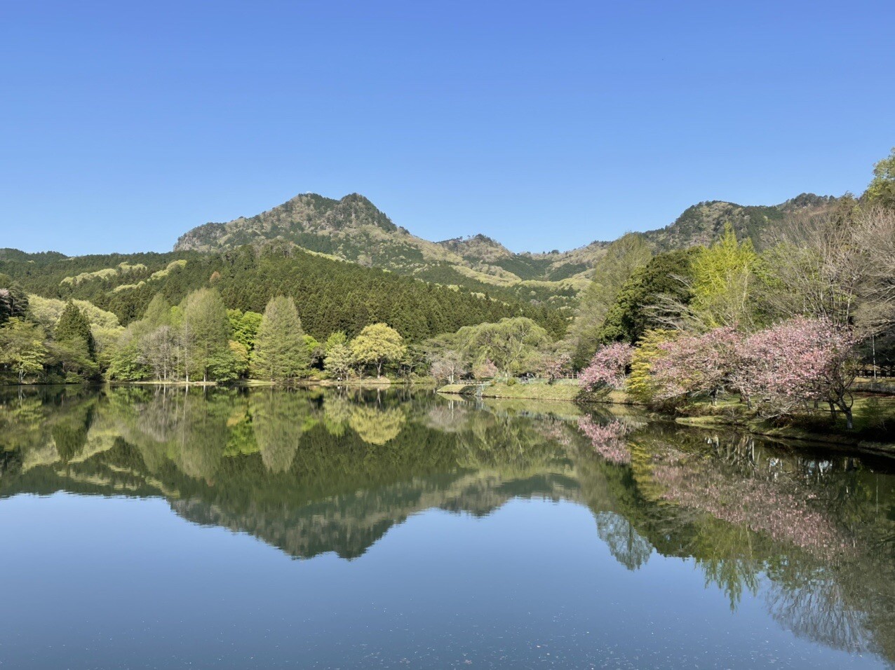 R3.4月18日 晴れ、朝のうちは爽やか... / joyhoさんのモーメント | YAMAP / ヤマップ