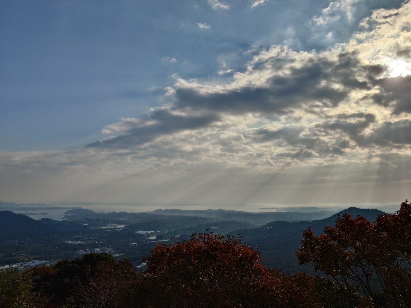 神石山 / isoさんの坊ヶ峰・石巻山・神石山・葦毛湿原の活動データ | YAMAP / ヤマップ