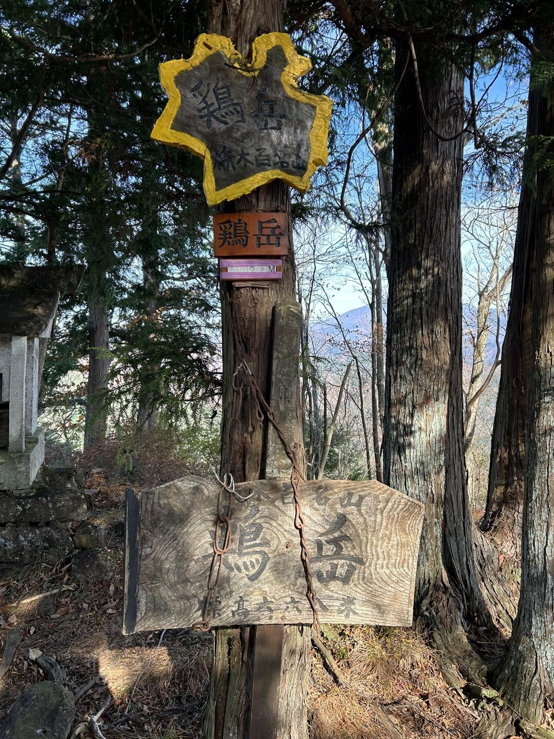 鶏岳 / yuu39さんの鶏岳の活動データ | YAMAP / ヤマップ