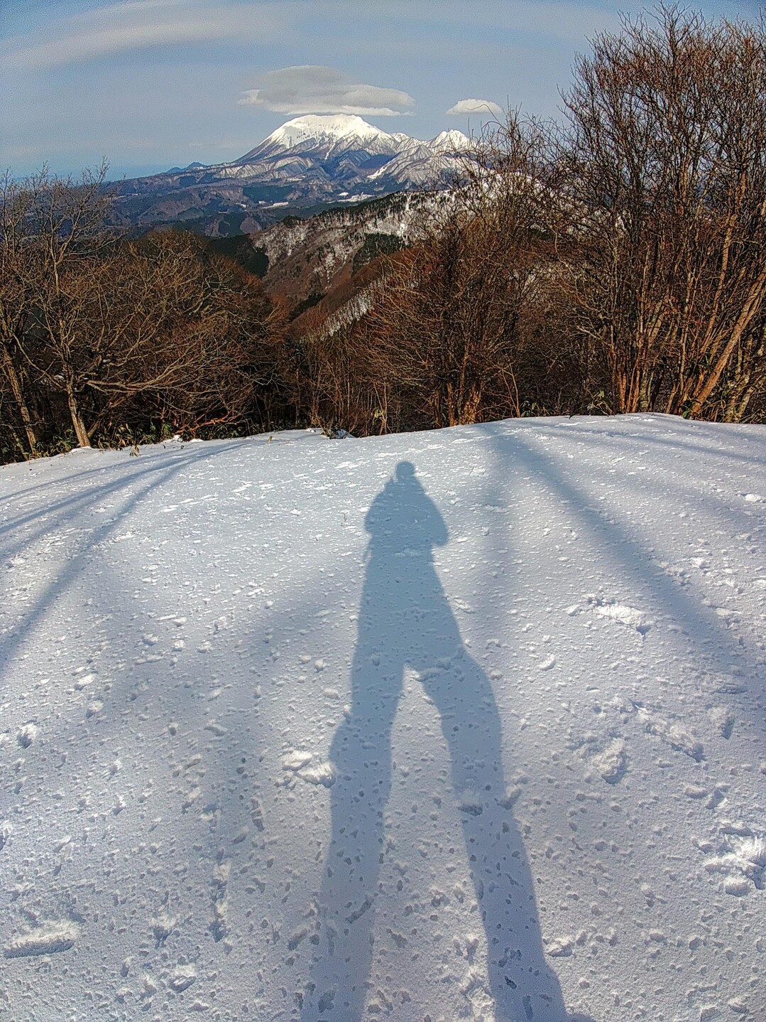2年ぶりのルートで年明け訓練 / Mr.マイキーさんの毛無山の活動データ | YAMAP / ヤマップ