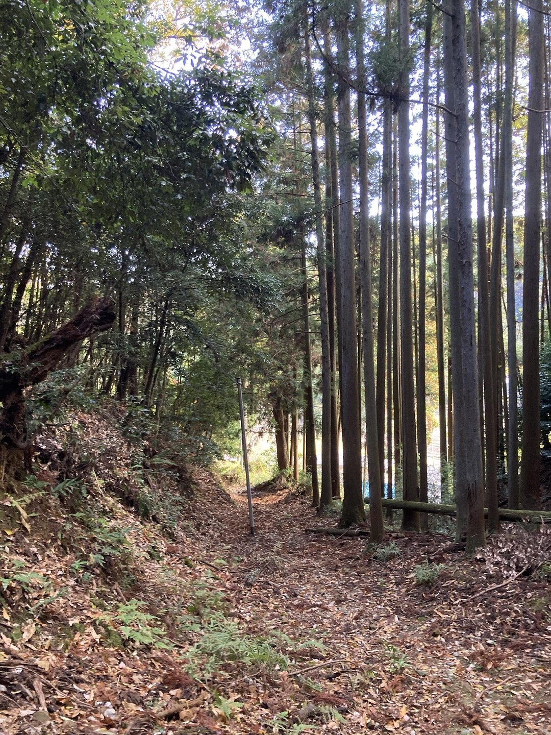 神君伊賀越えの道を歩く 天正十年（158... / siriaさんのモーメント | YAMAP / ヤマップ