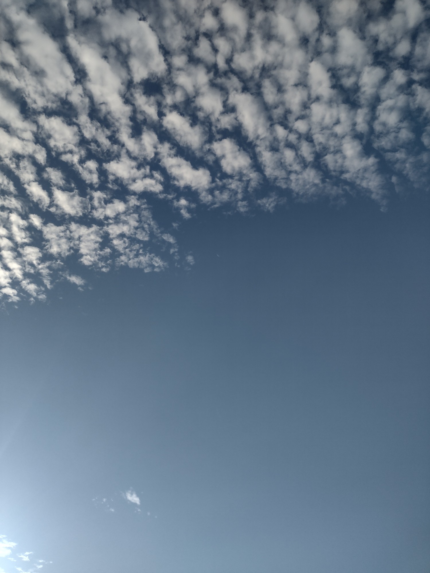 朝ジョギング🏃 秋の空みたいです。 ほ... / sin-yaさんのモーメント | YAMAP / ヤマップ