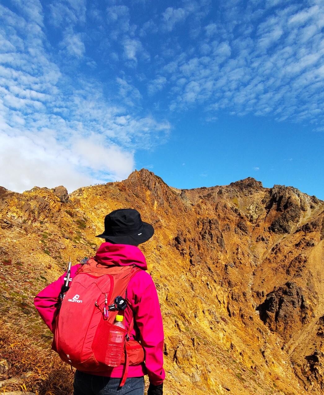 トリさん💚Keikoのページ | YAMAP / ヤマップ