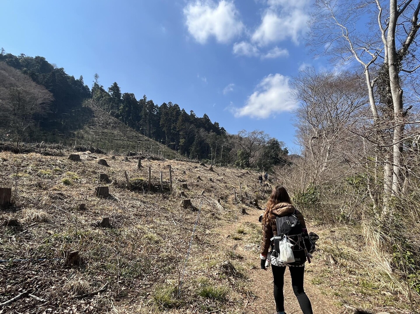 COCO TSENGさんの投稿したフィールドメモ | YAMAP / ヤマップ