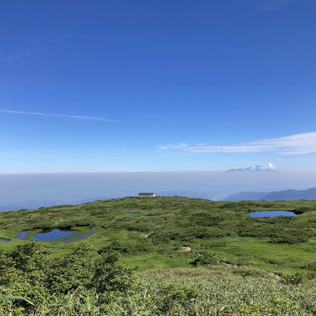 花の登山道を往く / R352さんの月山の活動データ | YAMAP / ヤマップ