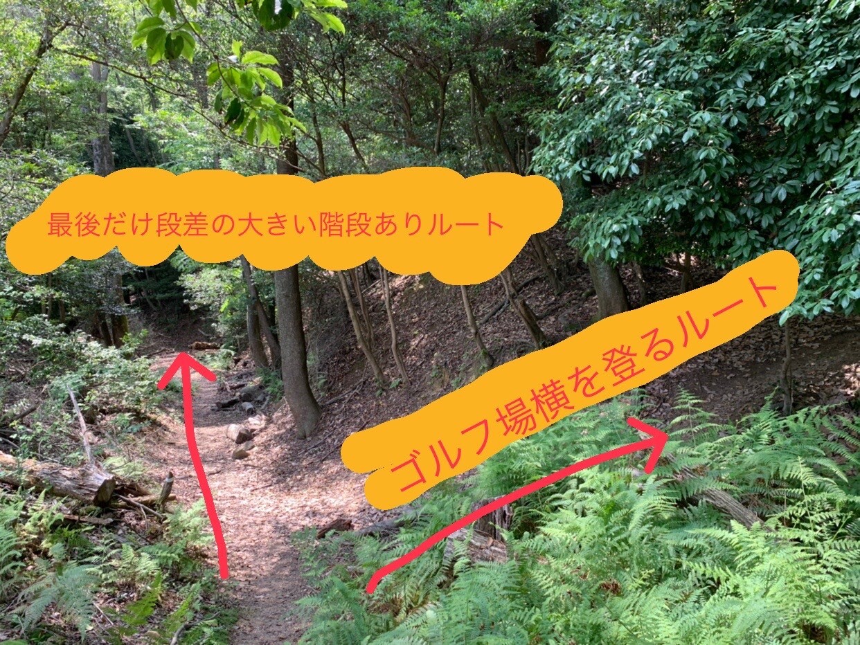 ERlii*さんの投稿したフィールドメモ | YAMAP / ヤマップ