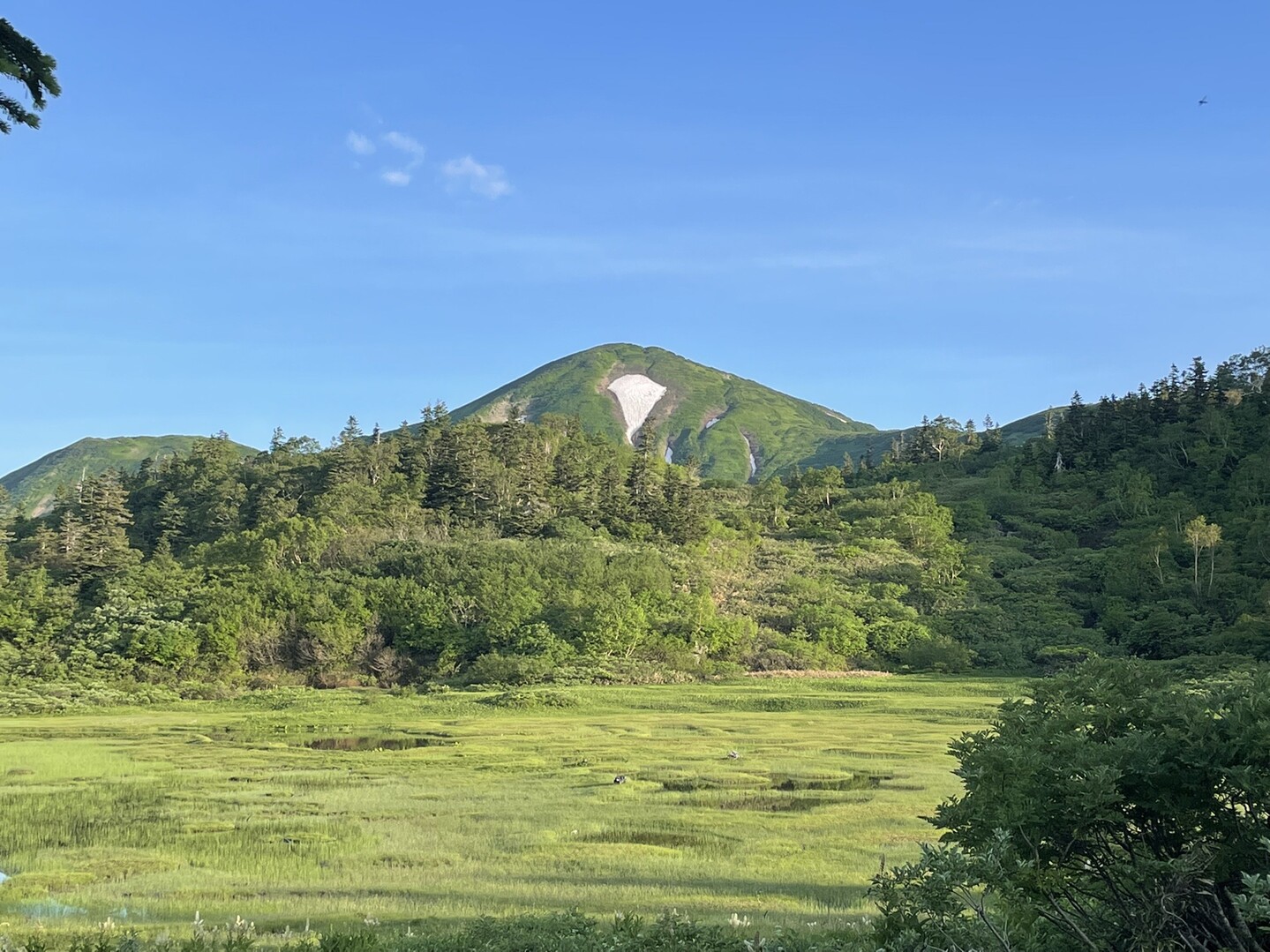 火打山 / kaolinさんの妙高山・火打山の活動データ | YAMAP / ヤマップ
